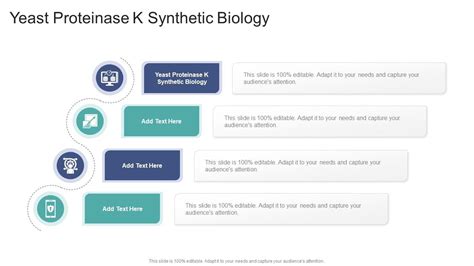 Yeast Proteinase K Synthetic Biology In Powerpoint And Google Slides Cpp PPT Sample