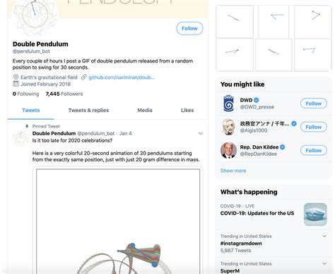 Double Pendulum Botwiki