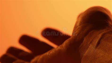 Detailed Drawing Of The Skin Of The Fingers Human Closeup Medicine