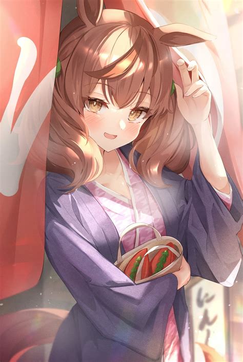 Nice Nature Umamusume Drawn By Skycappuccino Danbooru