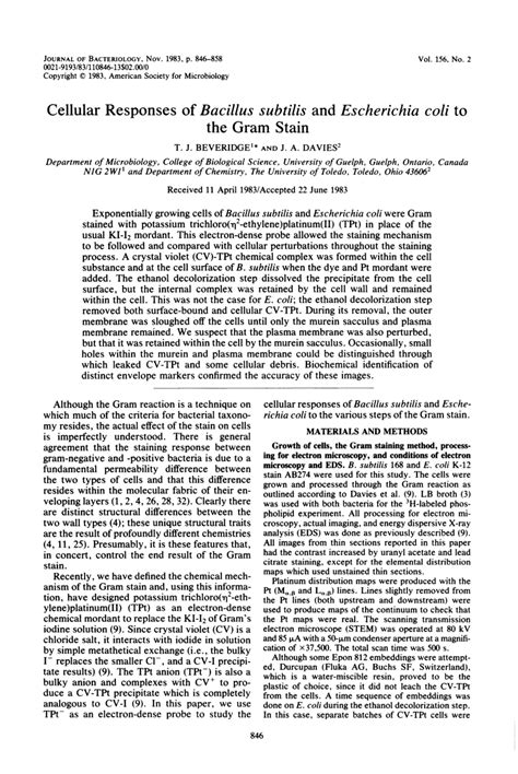 Pdf Cellular Responses Of Bacillus Subtilis And Escherichia Coli To The Gram Stain