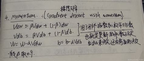adam优化算法原理详解（吴恩达深度学习笔记） adam优化器算法原理 csdn博客