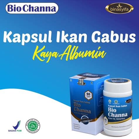 Jual BIOCHANNA Kapsul Kutuk Premium KUTUK IKAN 60 Kapsul GABUS KAYA