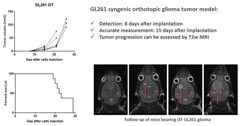 Orthotopic Models Tumor Microenvironment Tme