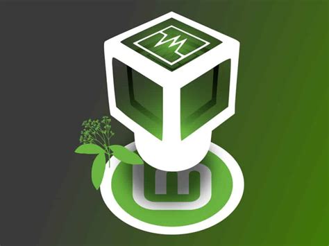 Virtualbox On Linux Mint A Complete Installation Guide