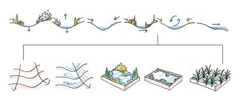 Strategy Of Sponge City Illustrated By The Author Download