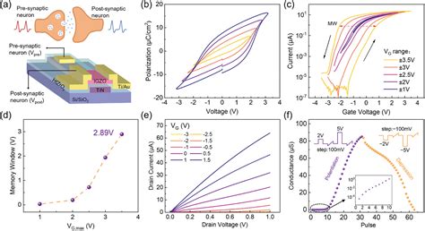 Tailoring Dynamic Synaptic Plasticity In Fetft Optoelectronic Synapse