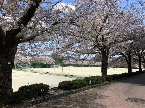 熊本市立桜木中学校
