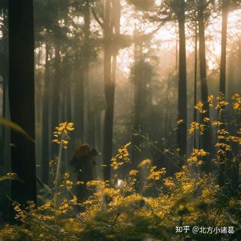 人与人之间为什么不能坦诚相待 知乎