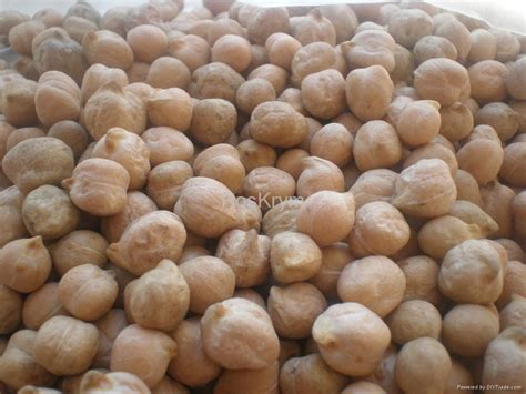 Chickpea White Kabuli Russia Trading Company Grain