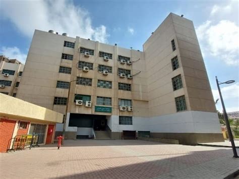 Asu New Decisions At The Faculty Of Archeology Ain Shams University