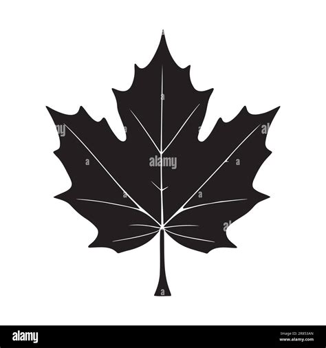 Maple Leaf Silhouette Logo Isolated On White Background Vector Icon