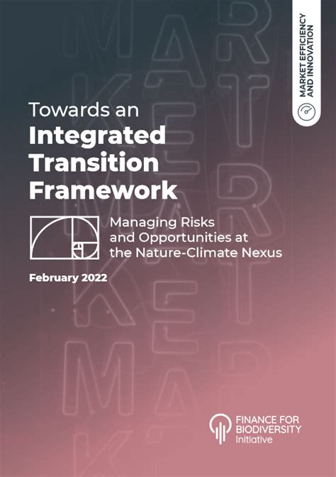 Towards An Integrated Transition Framework Managing Risks And Opportunities At The Nature