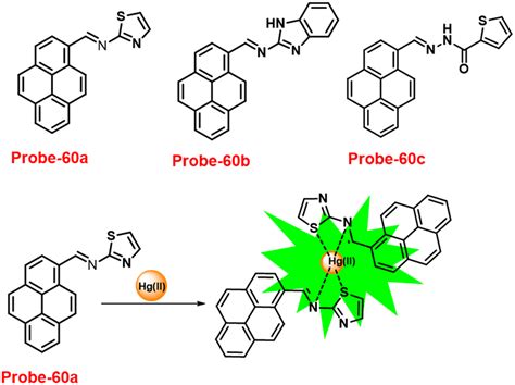 An Overview Of Schiff Base Based Fluorescent Turn On Probes A Potential Candidate For Tracking