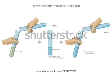 Hydrochloric Acid Can Be Identified By Stock Vector Royalty Free