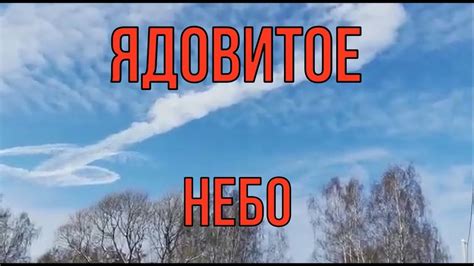 "Манна небесная" - YouTube