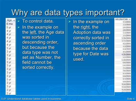 Data Types And Field Properties