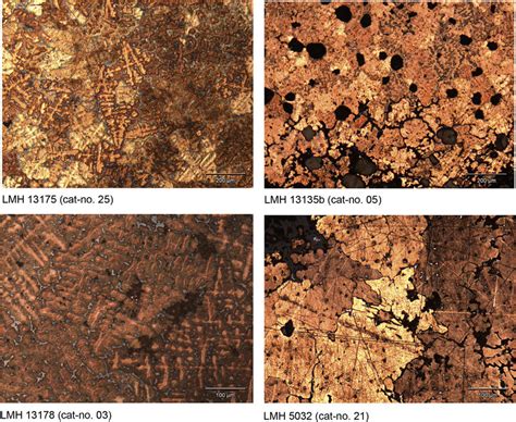 The Selected Micrographs Are Displaying An As Cast Microstructure With Download Scientific