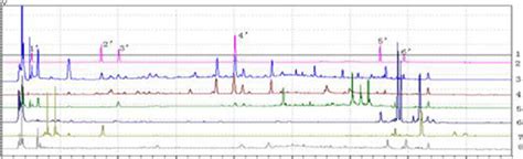 Chromatogram Of The S Ⅳ Gradient Elution Way In 360 Nm And 273 Nm