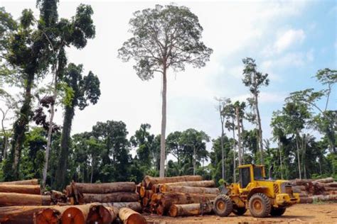Human Environmental Interactions: All You Need to Know!
