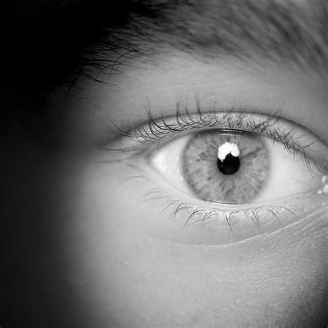 Floaters And Flashes Laservision Floaters And Flashes Laservision