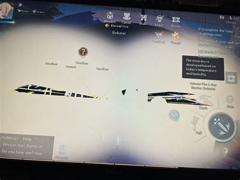 Weird Glitch Help Rdragonrajamobile