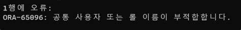 Oracle 설치