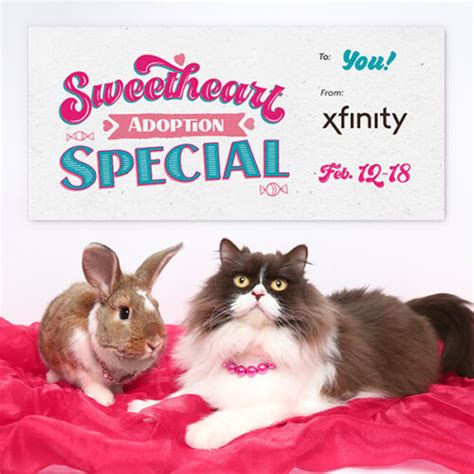 Sweetheart Special Humane Society Of Utah