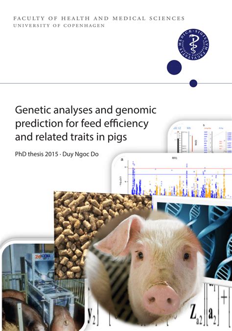 Pdf Genetic Analyses And Genomic Prediction For Feed Efficiency And