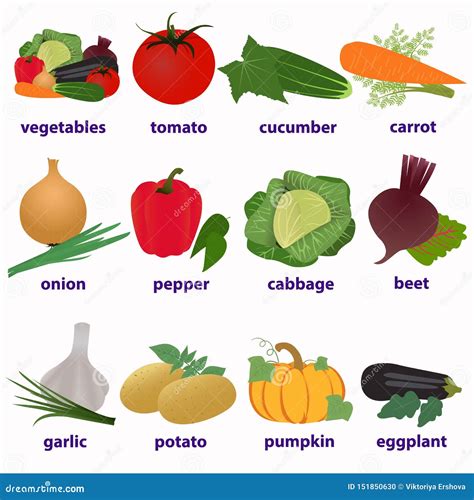 L gumes Cartes De Langue Anglaise Illustration Stock Illustration du lettre caractère