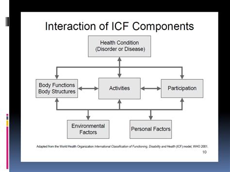 International Classification Of Functioning Disability And Health