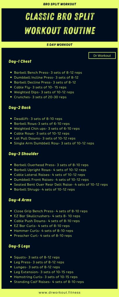 Classic 5 Day Bro Split Workout Routine With Pdf Dr Workout