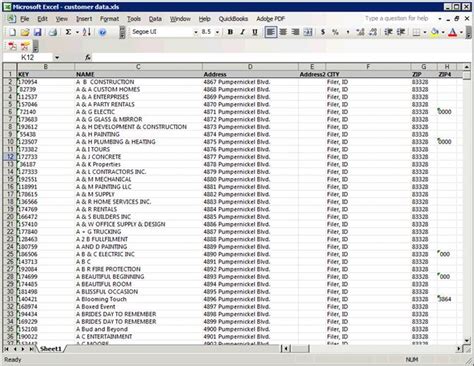 Customer Record Import