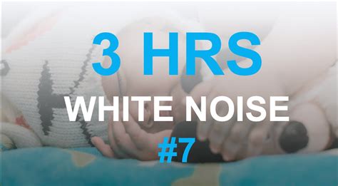 White Noise Black Screen 7 3 Hours Forest Sounds For Focus