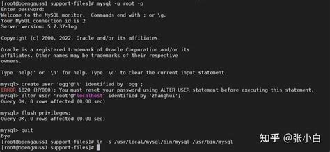 张小白教你使用OGG实现Oracle 19C到MySQL 5 7的数据同步 墨天轮