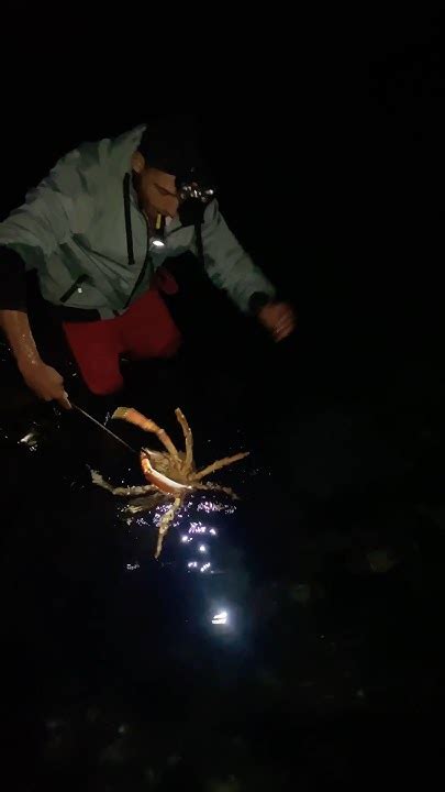 صيدت كرابةً لأخي الصغيرً 🤍 Youtube