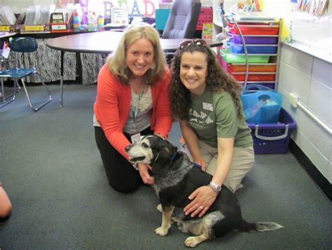 Danielson Model Artofit