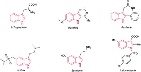 Compounds Containing Indole Motif Download Scientific Diagram