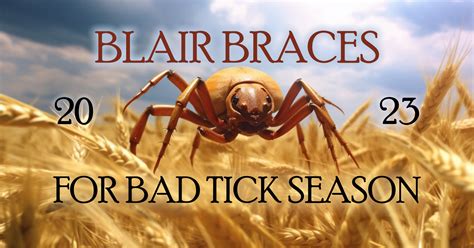 Blair Braces For Bad Tick Season Blair Nebraska News