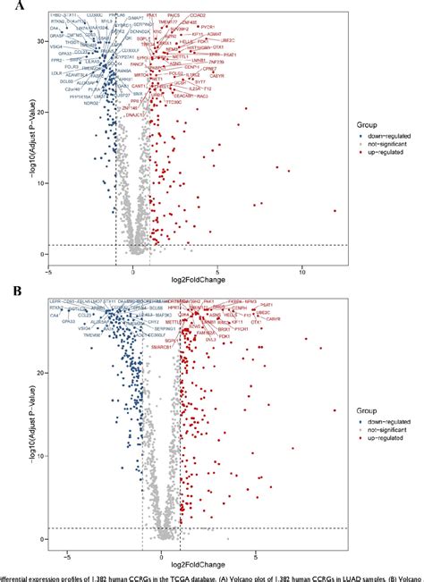Figure 1 From Circadian Rhythm Associated Clinical Relevance And Tumor