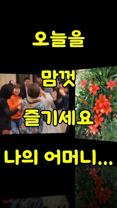 매일 즐겁게 사셔요나의 어머니 즐겨라 Shorts 어머니 나의어머니 Youtube