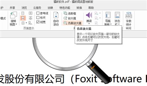 如何使用福昕阅读器中的放大工具三种工具任你选福昕阅读器专业版免费下载