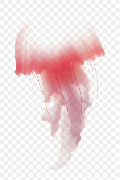 Gradient Form Png Images Free Photos Png Stickers Wallpapers