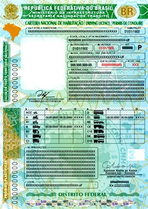 Esses são os procedimentos para pedir a Nova CNH 2022