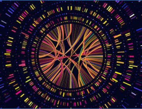 Sum Seq Scalable Ultra High Throughput Single Cell Chromatin And Rna