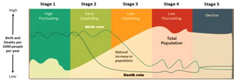 Essay 7 Medical Demography History Classification Demographic