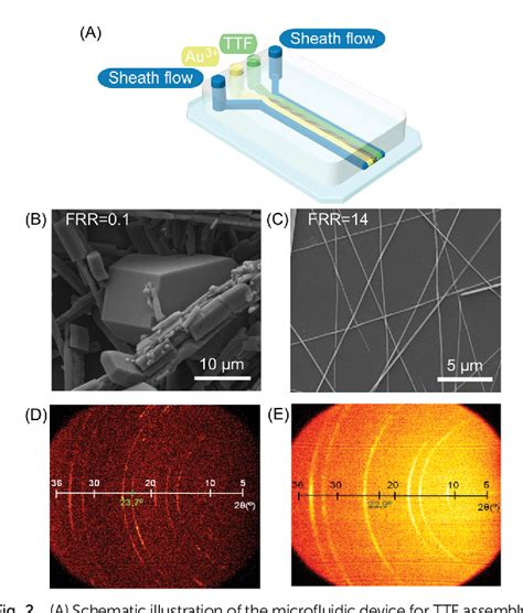 Figure 2 From Self Assembled Materials And Supramolecular Chemistry Within Microfluidic