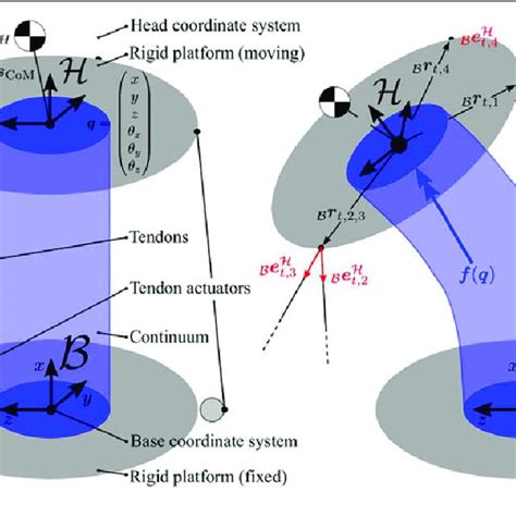 Schematic Drawing Of The Tendon Driven Continuum Mechanism Download Scientific Diagram