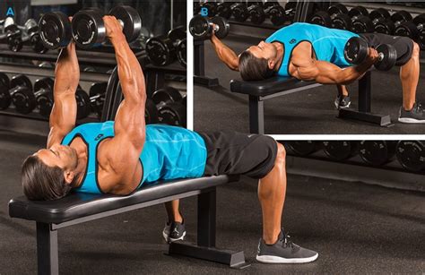 10 Best Muscle Building Isolation Exercises