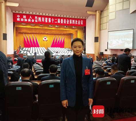 四川省政协委员马薇建言：提高专业社会组织在公共文化服务中的重要作用文艺界